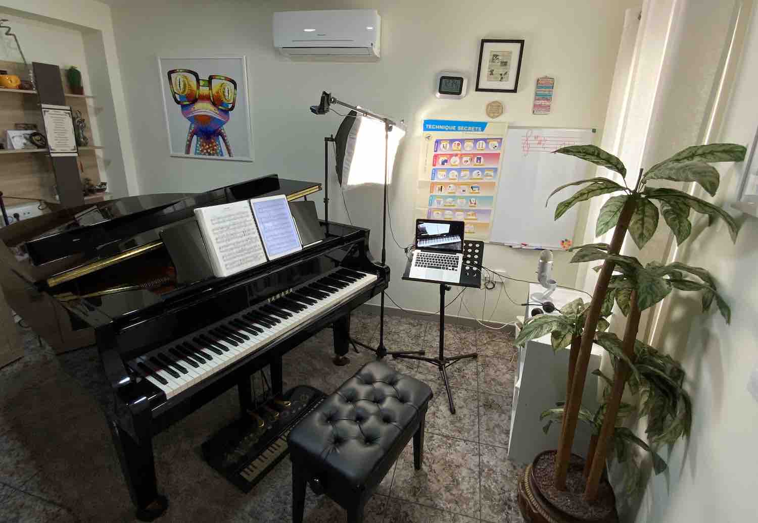 Professional Zoom Piano Lessons For Children And Adults.